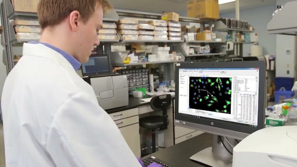 Lewendige selbeeldingstelsels