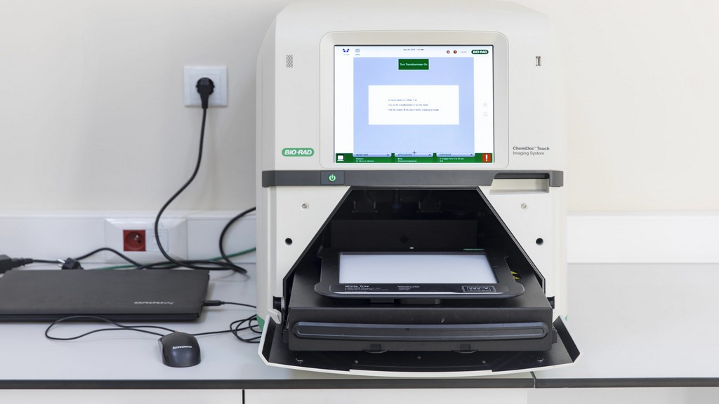 Gel Elektroforese Toestelle