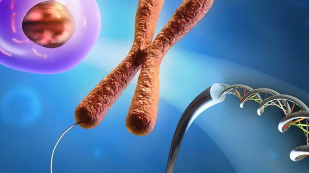 PGD (Preimplantation Genetic Diagnosis) Systems