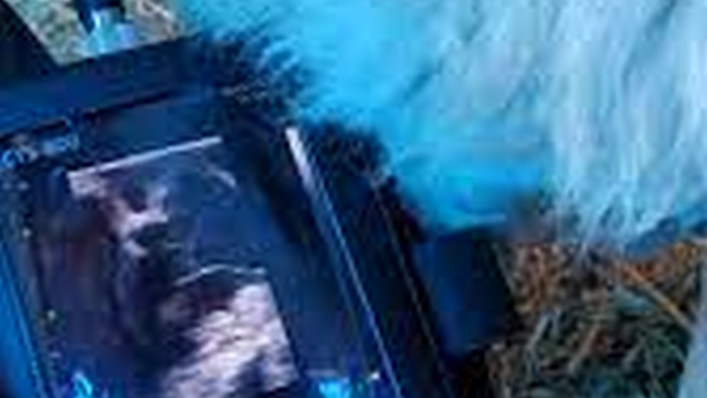 Veterinary Ultrasound Devices